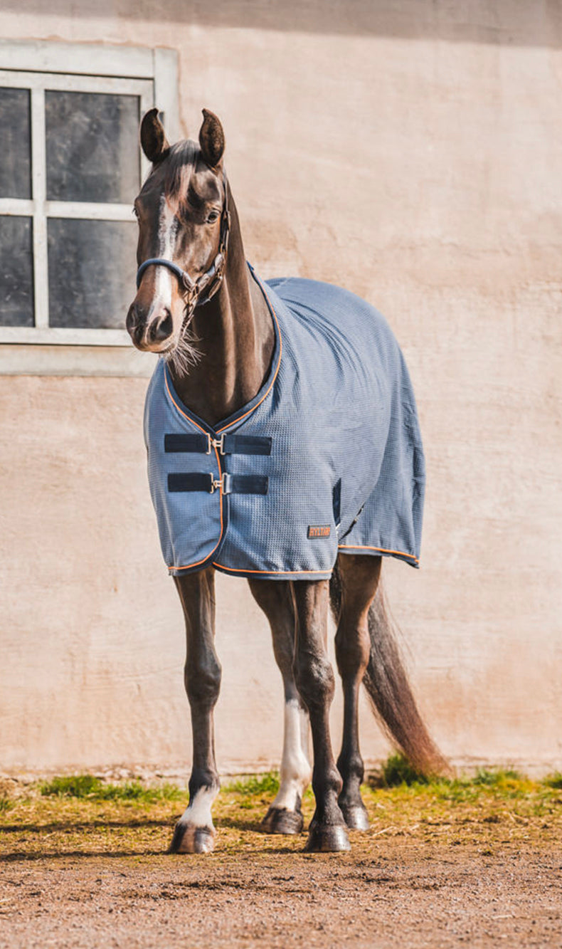 Hyltarp Sweden | Horse rugs & Horse toys